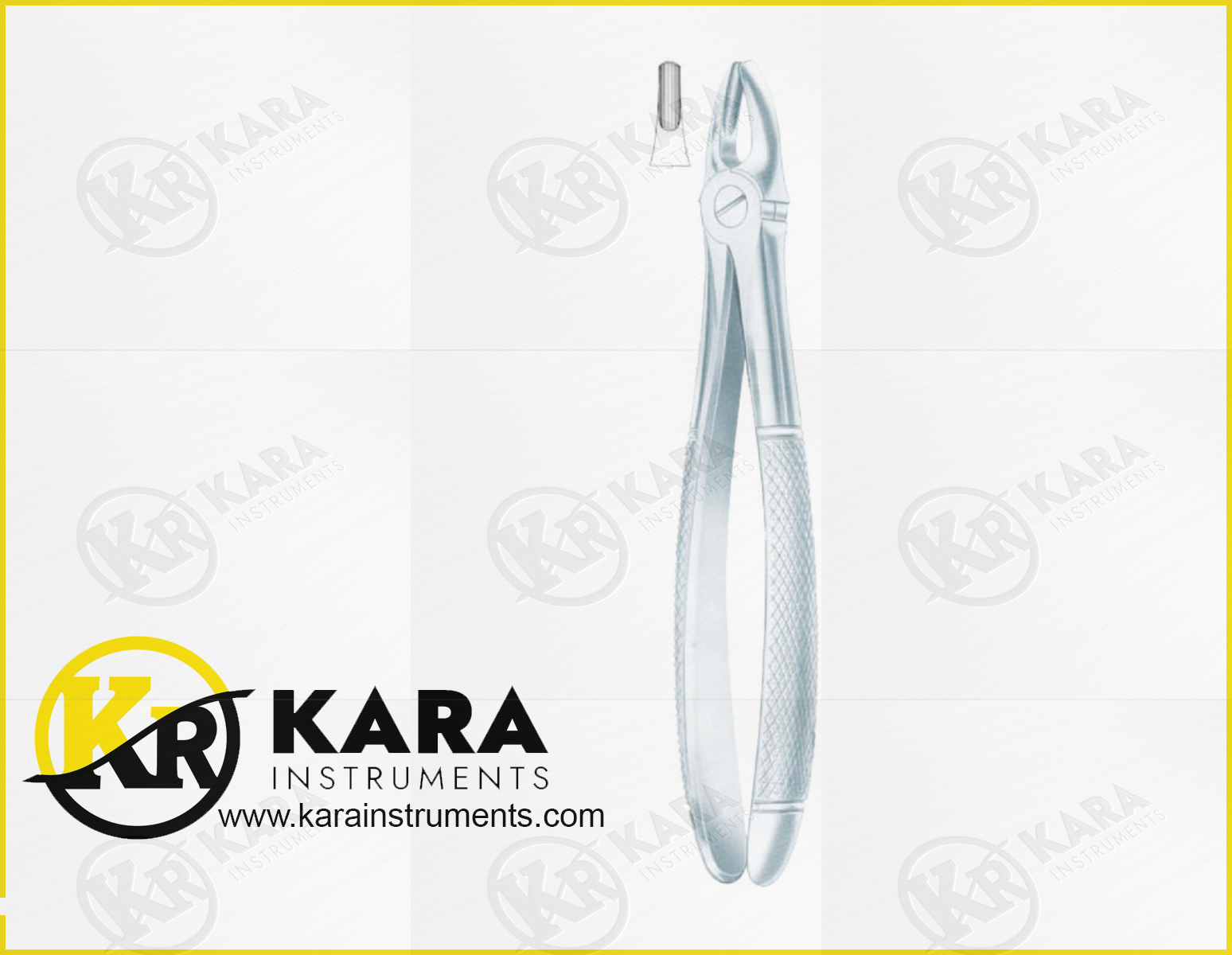 Category | Extracting Forceps